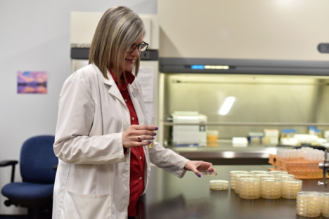 ARDL's microbiological testing a critical service for growing industry ...