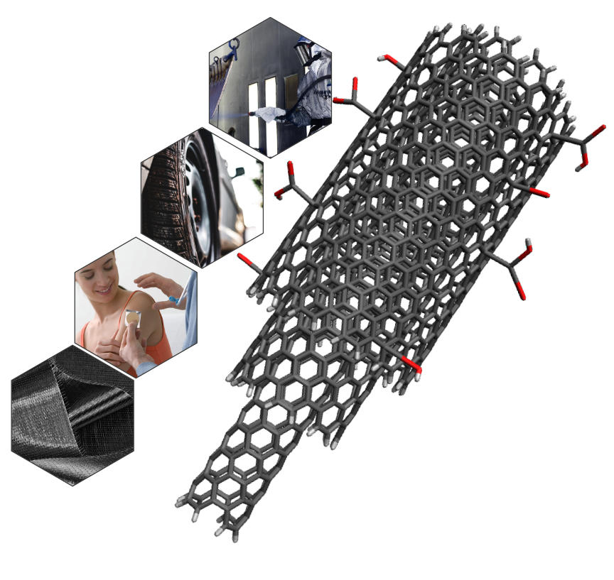 Discrete And Chemically Functional Carbon Nanotubes For Improved EV Discrete And Chemically Functional Carbon Nanotubes For Improved EV