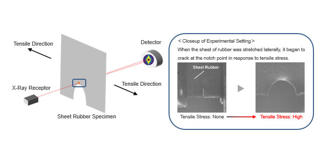 Sumitomo-claims-breakthrough-in-rubber-failure-study | Rubber News