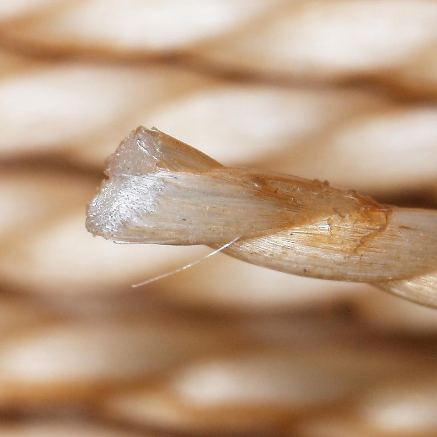 Michelin ResiCare surpasses 100 million tires made with RF replacement ...