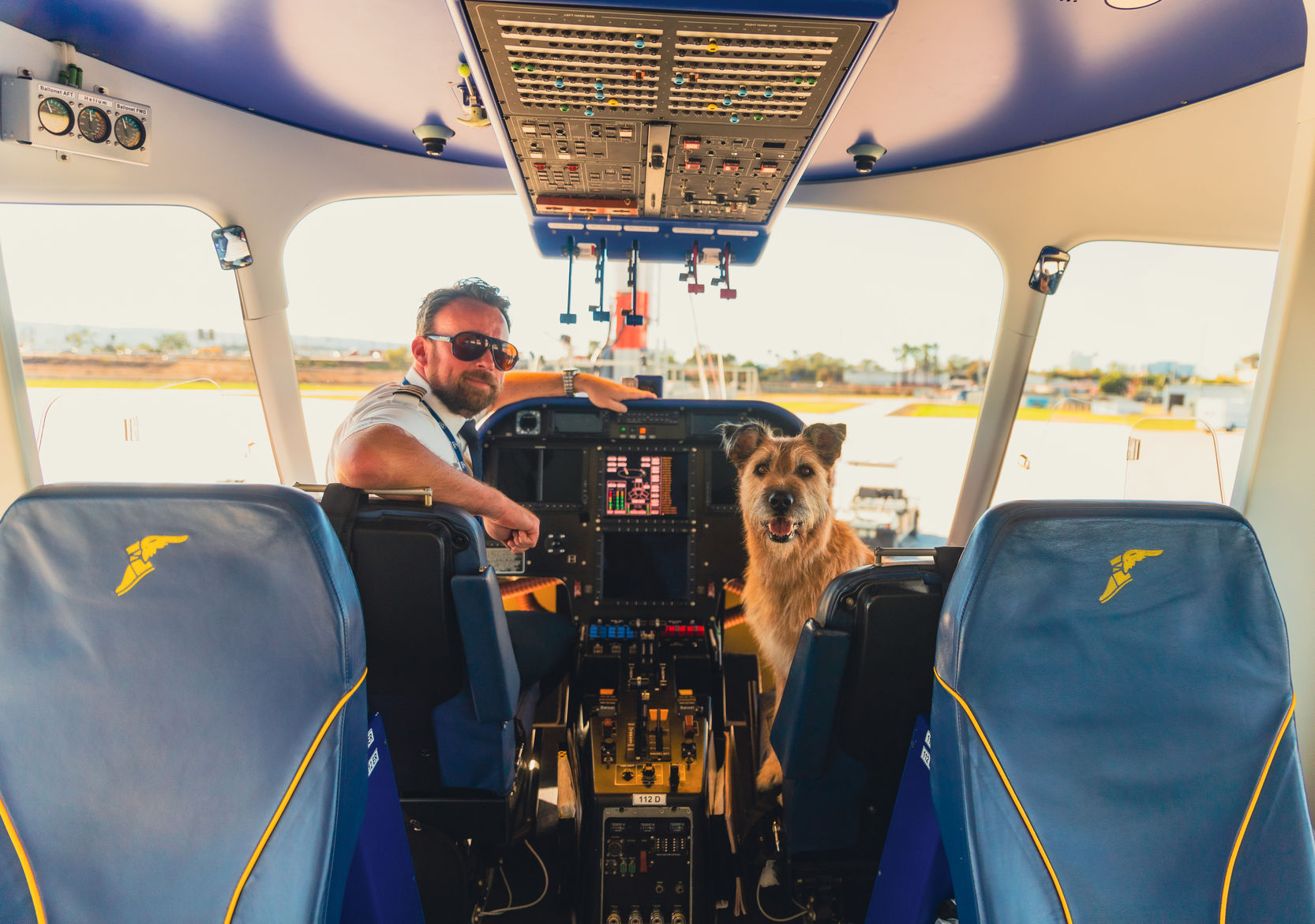 Dog from 'Finch' makes history aboard the Goodyear Blimp