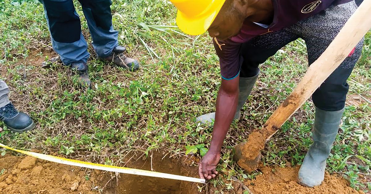 Corrie MacColl launches Cameroon Outgrower Programme for farmers ...