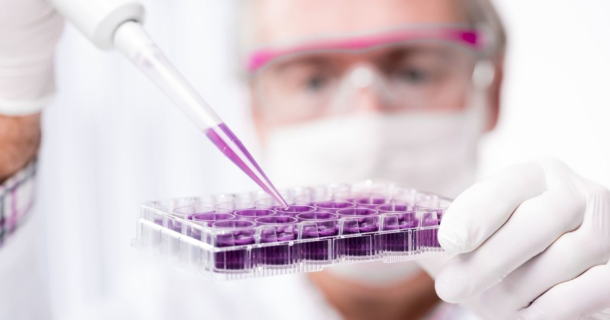 Evonik's new plasticizer made for durable products | Rubber News