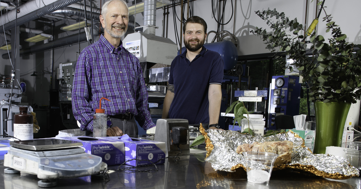 Freudenberg Sealing reduces its carbon footprint with sustainable ...