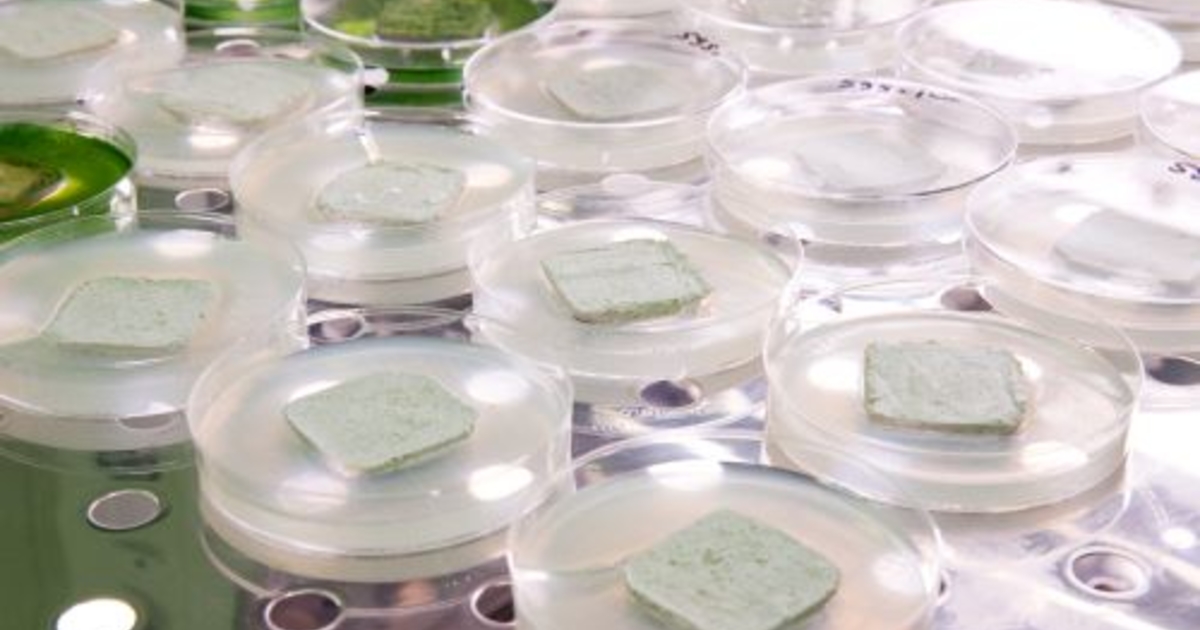 Lanxess expands distribution partnership for industrial preservatives ...