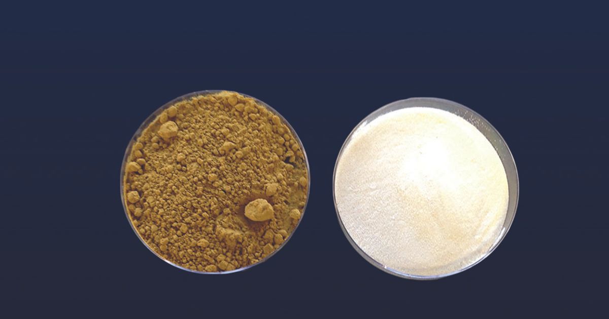 Food-waste-emerges-as-possible-rubber-filler | Rubber News