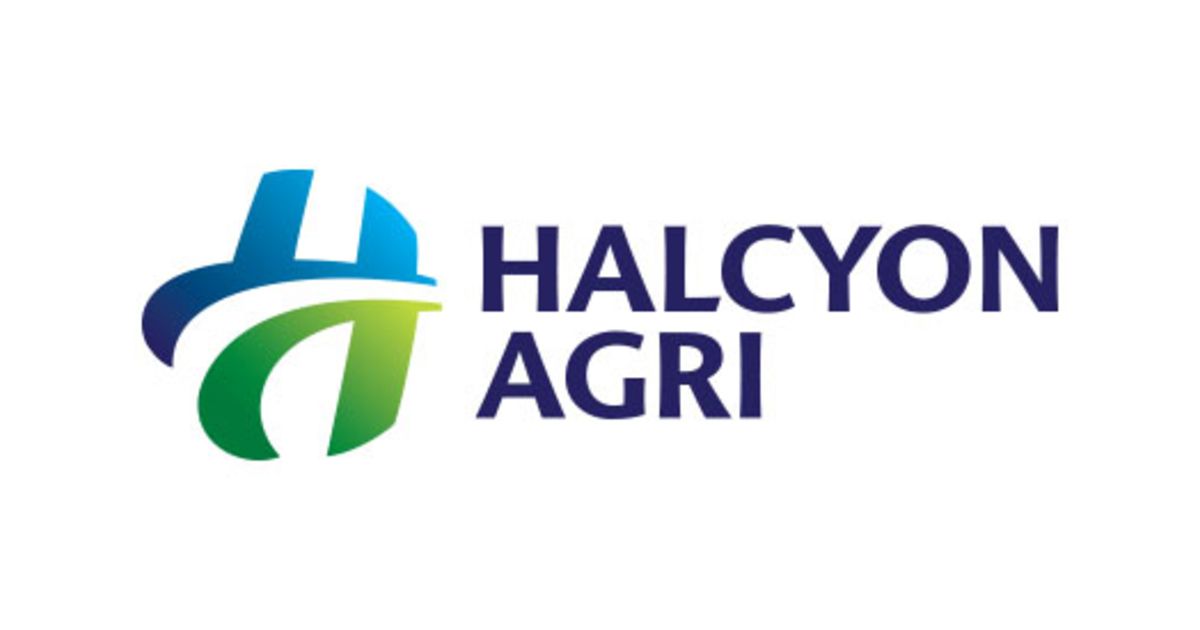 Halcyon Agri launches Bounce sustainable rubber movement | Rubber News