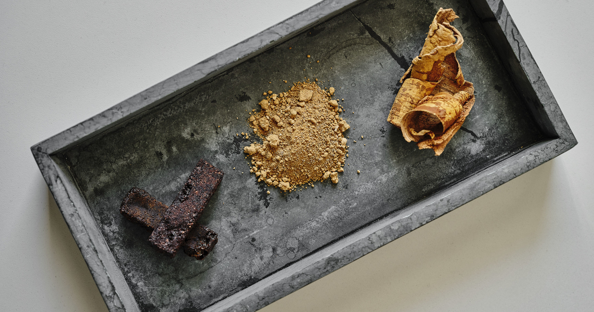 Nokian Tyres, Reselo Rubber partnership tests alternative natural ...