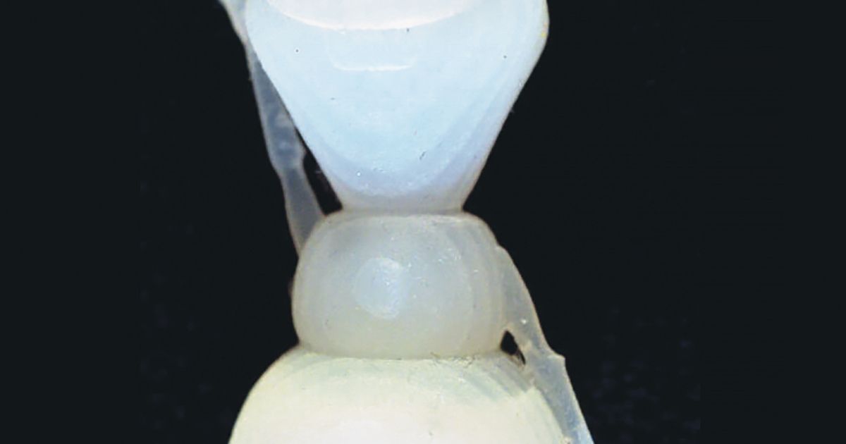 Structur3D advances technology with desktop injection molding platform ...