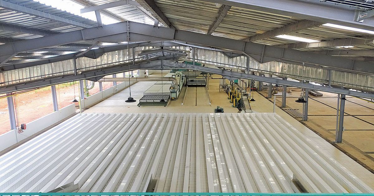 Corrie MacColl progressing on latex, rubber processing plant in ...