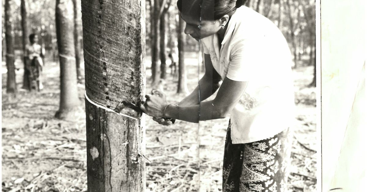 Photo gallery: Natural rubber through the years | Rubber News
