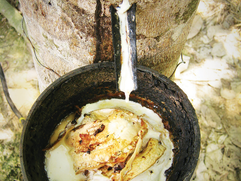 China launches TSR20 futures trading