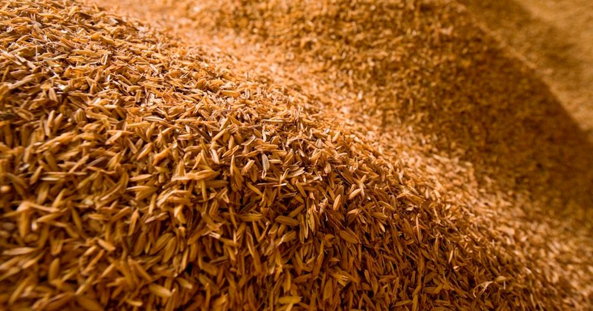 Sustainable silica from rice husk for the green tire tread | Rubber News